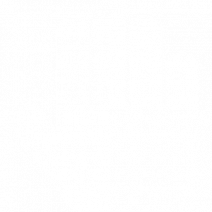 Fauna Rescue SA | Native Wildlife and Koala Rescue Services