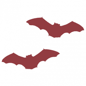 Fauna Rescue SA | Native Wildlife and Koala Rescue Services